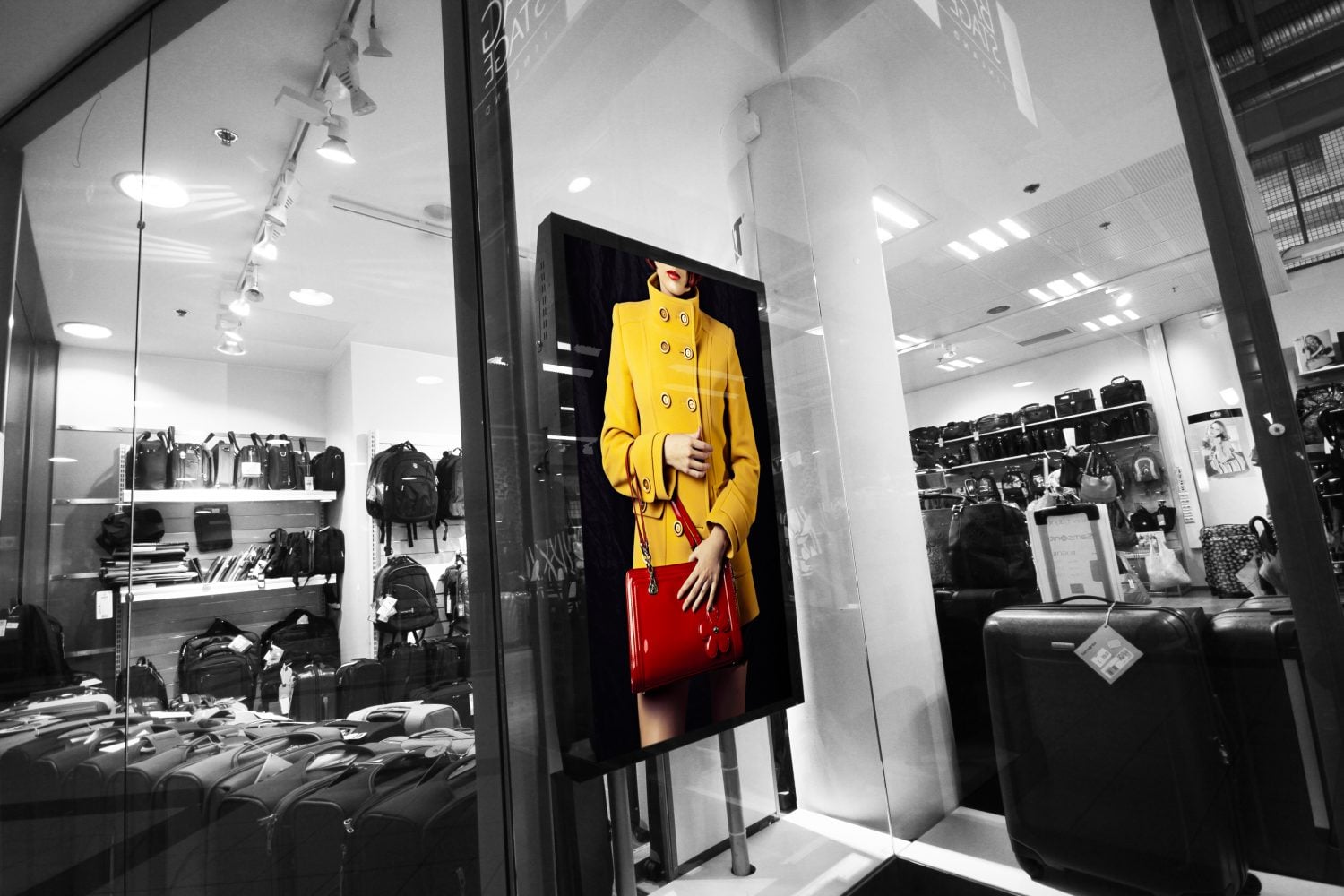 References – Case Bag Stage – FirstView